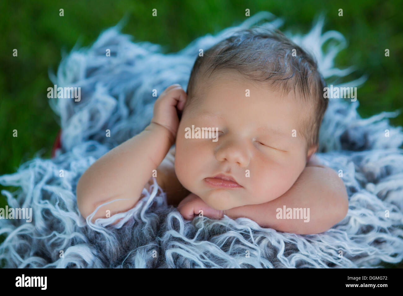 Newborn baby, ten days Stock Photo - Alamy