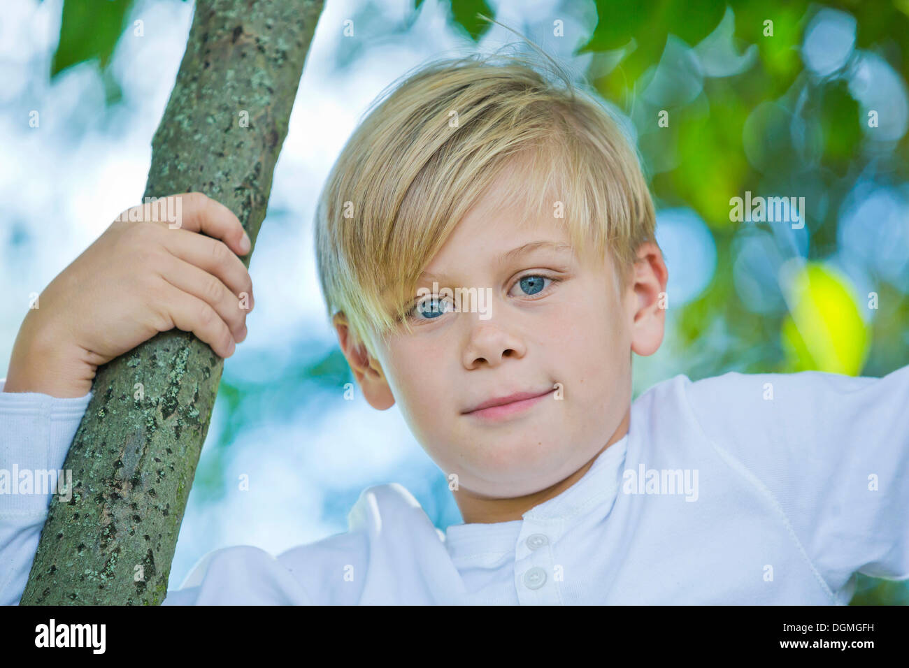Boy, 9 years old, climbing on a tree Stock Photo - Alamy