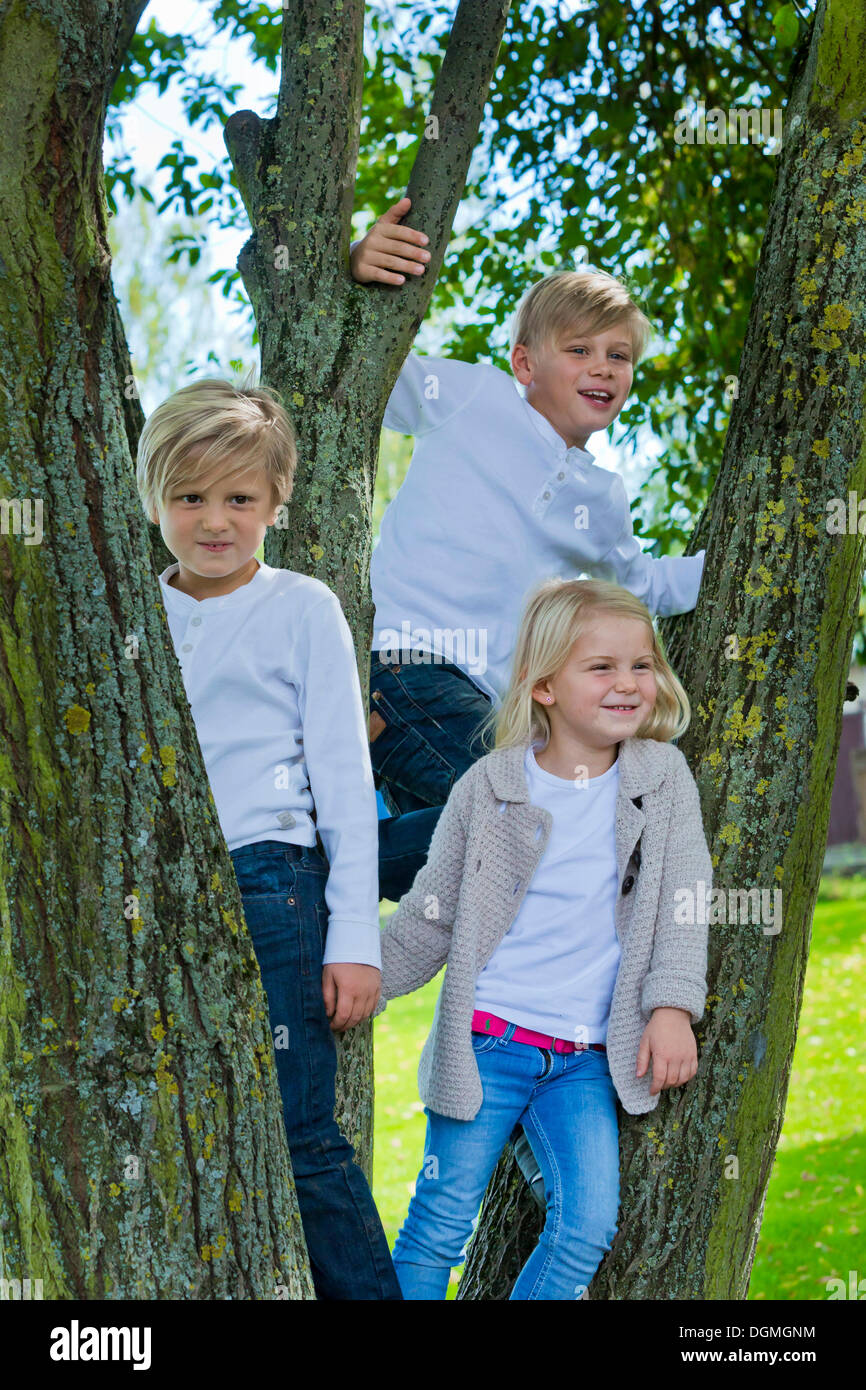 Three children standing on a tree Stock Photo - Alamy