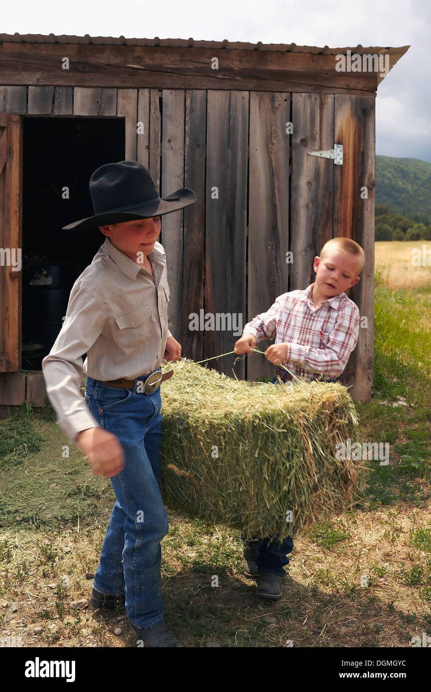 USA, Colorado, Boys collecting hay Stock Photo - Alamy