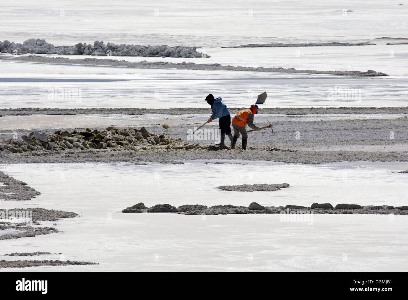 Salt workers in a salt lake, Altiplano, Potosi, southern Bolivia, South ...