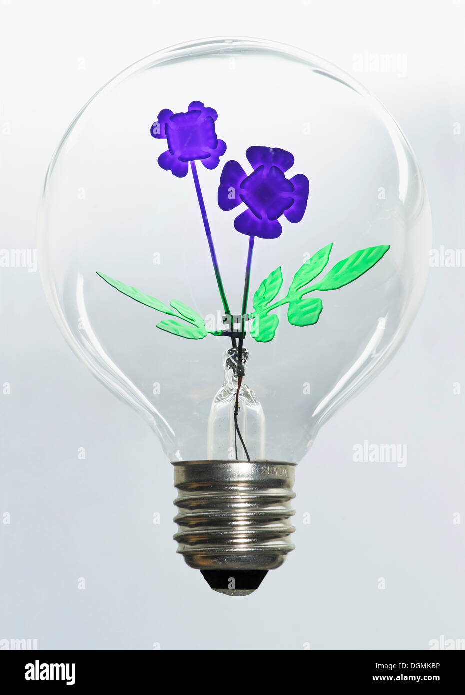 Purple lightbulb hi-res stock photography and images - Alamy