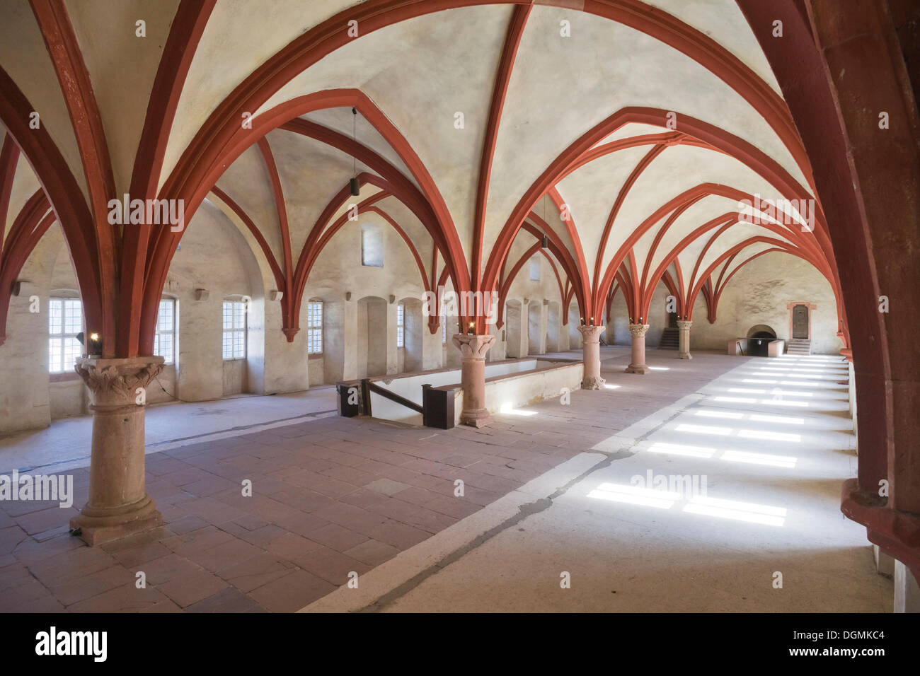 The Gothic cross-ribbed vault in the dormitory of Eberbach Abbey ...