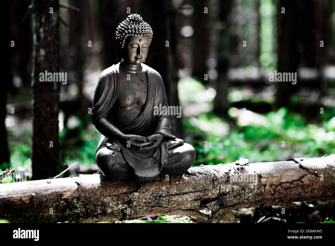 Buddha statue sitting on a tree trunk in the forest, Germany Stock ...