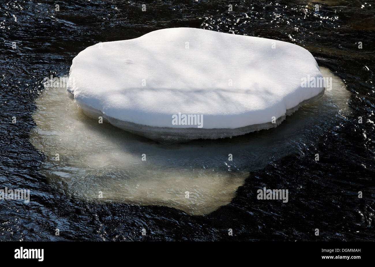 Snow-covered round stone in the river, Bode river valley in winter ...