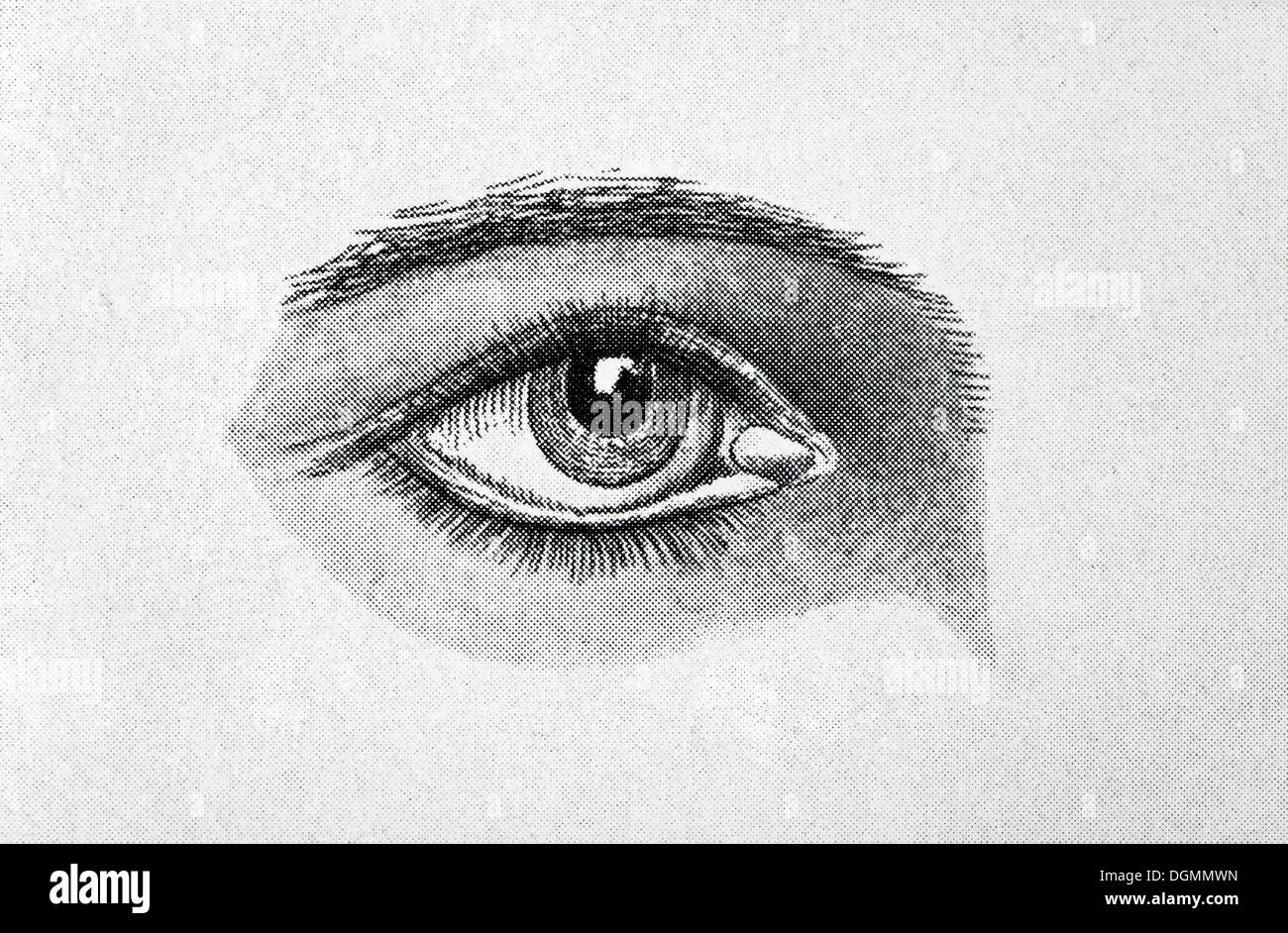 Human Eye, screened halftone image, visible square grid, illustration ...