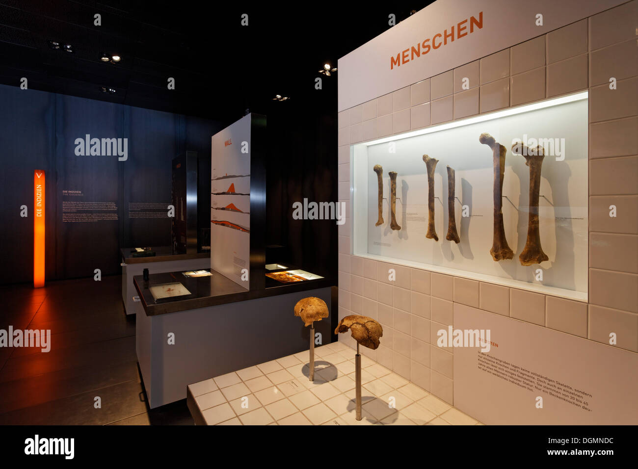 Bones, archaeological finds, Varus Battle or Battle of the Teutoburg ...