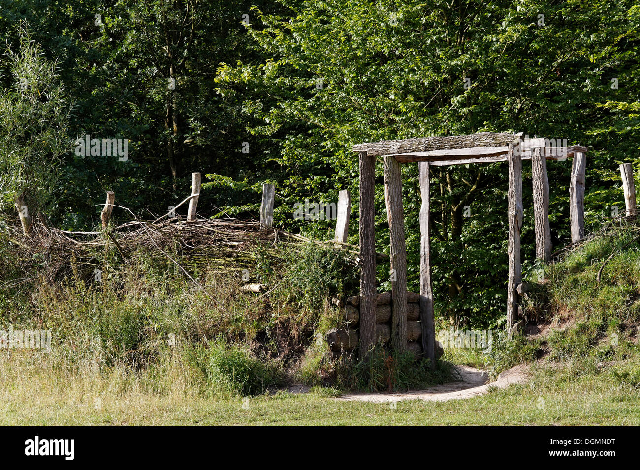 Battle of the teutoburg forest hi-res stock photography and images - Alamy