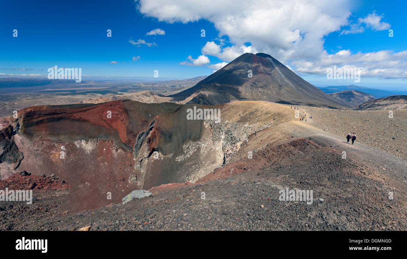 New Zealand, Tongariro National Park, View over volcano Stock Photo - Alamy
