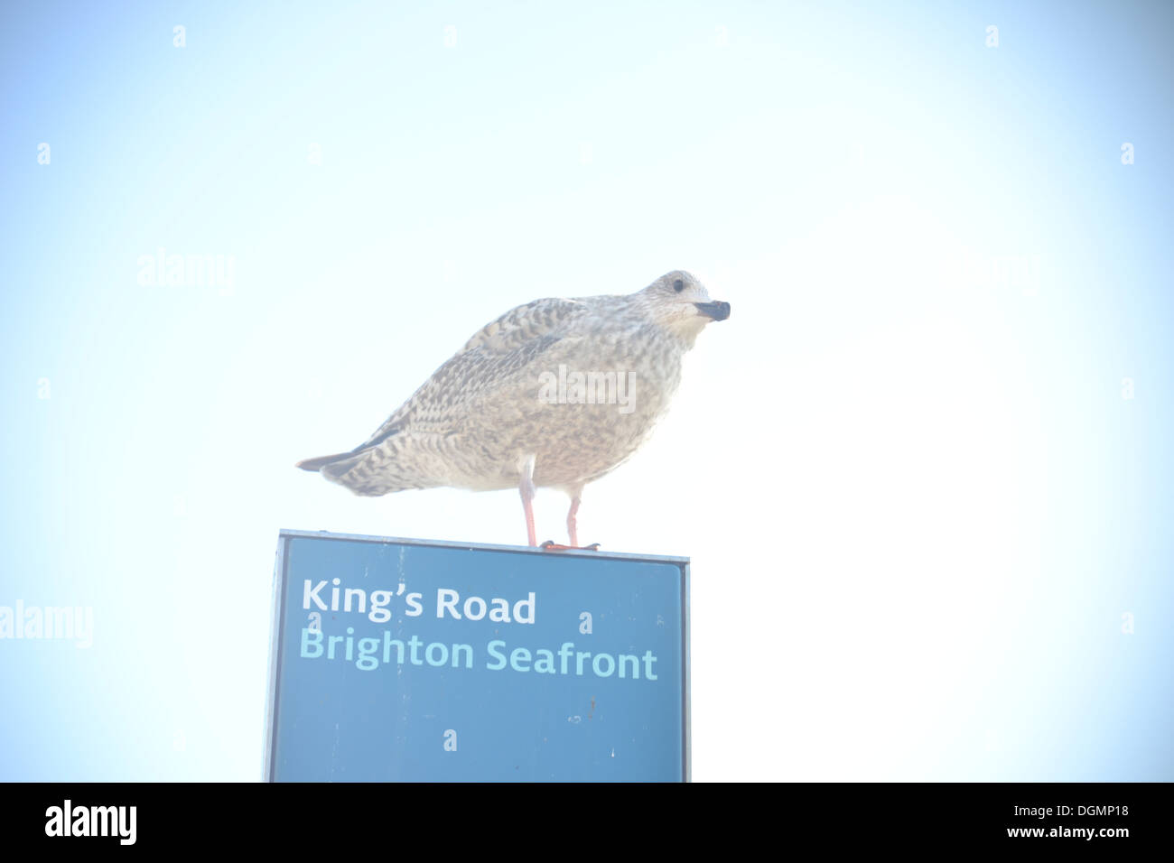 Brighton road sign hi-res stock photography and images - Alamy