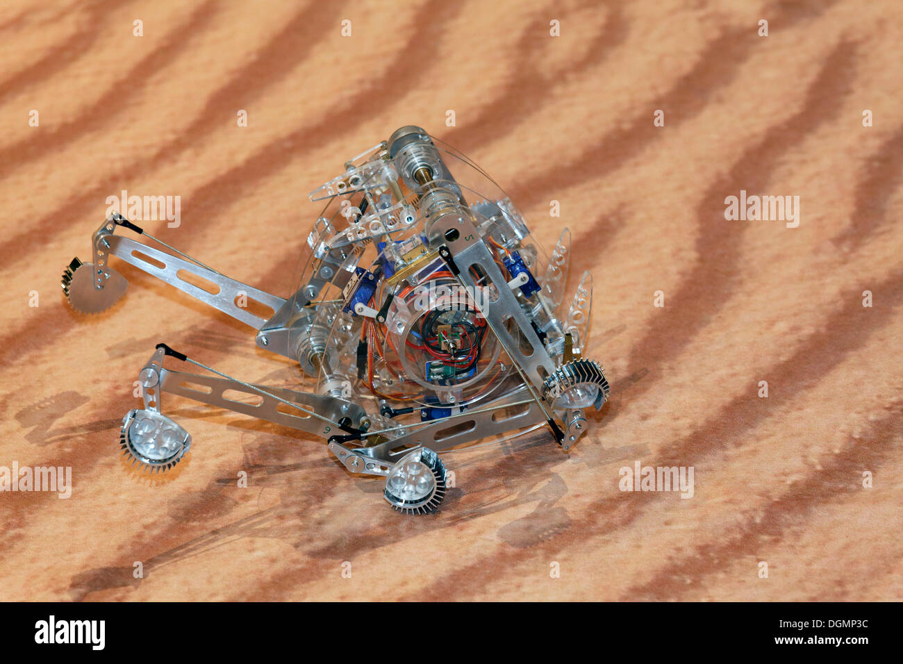 Bionic model of a Tabacha rolling spider, IdeenPark 2012, a technology ...