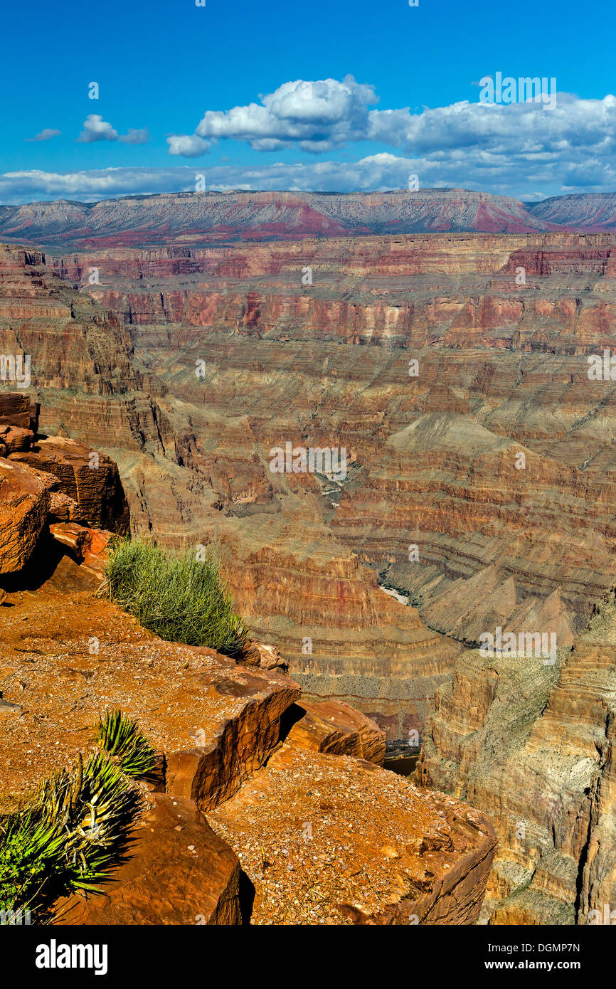 Grand Canyon West Rim Stock Photo - Alamy
