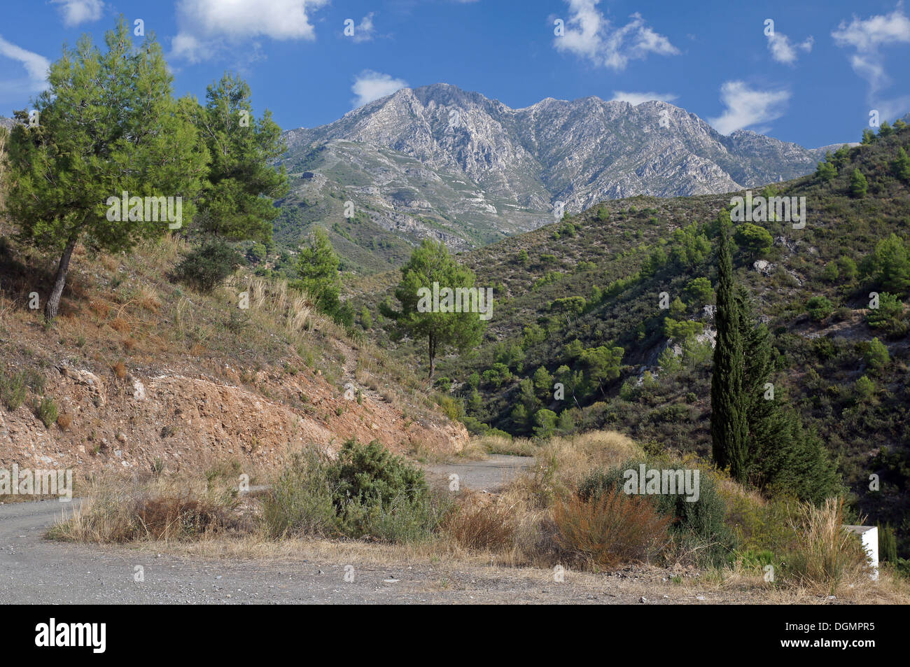 The Rio Patamalara valley Stock Photo - Alamy