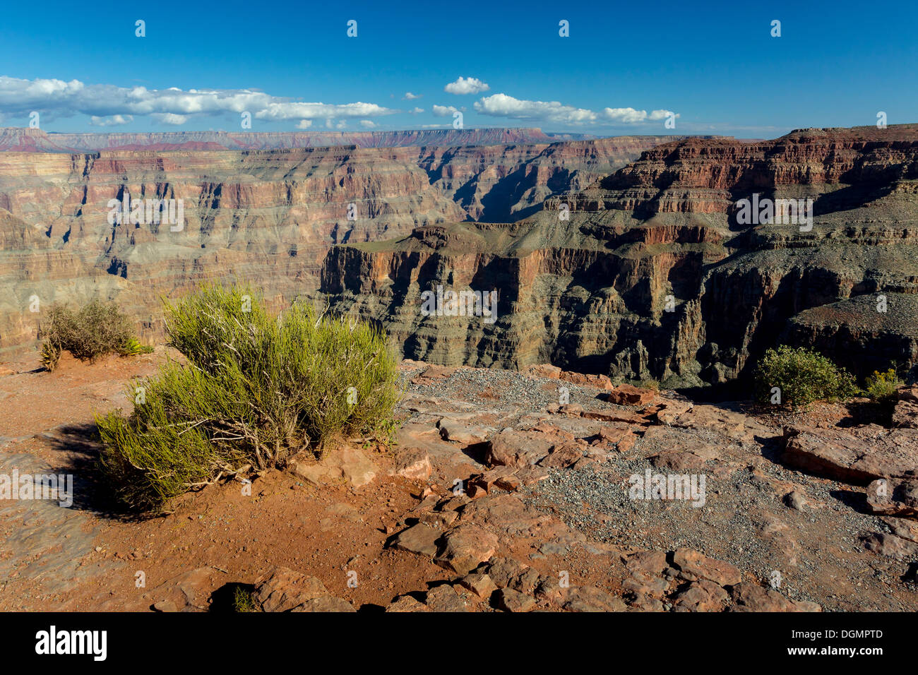 Grand Canyon West Rim Stock Photo - Alamy