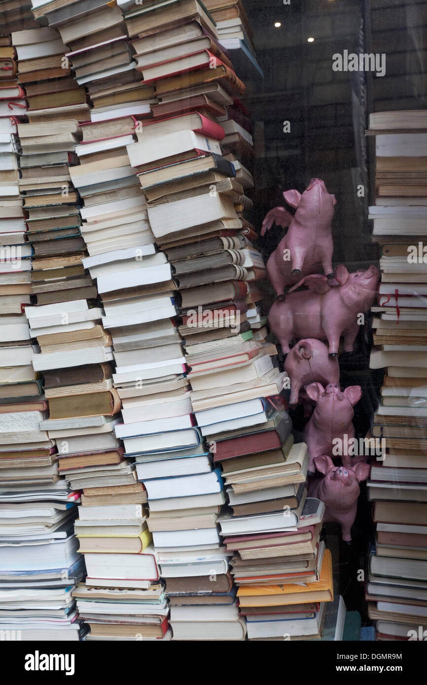 Stacked books and decorative pigs in a shop window, quirky bookstore ...