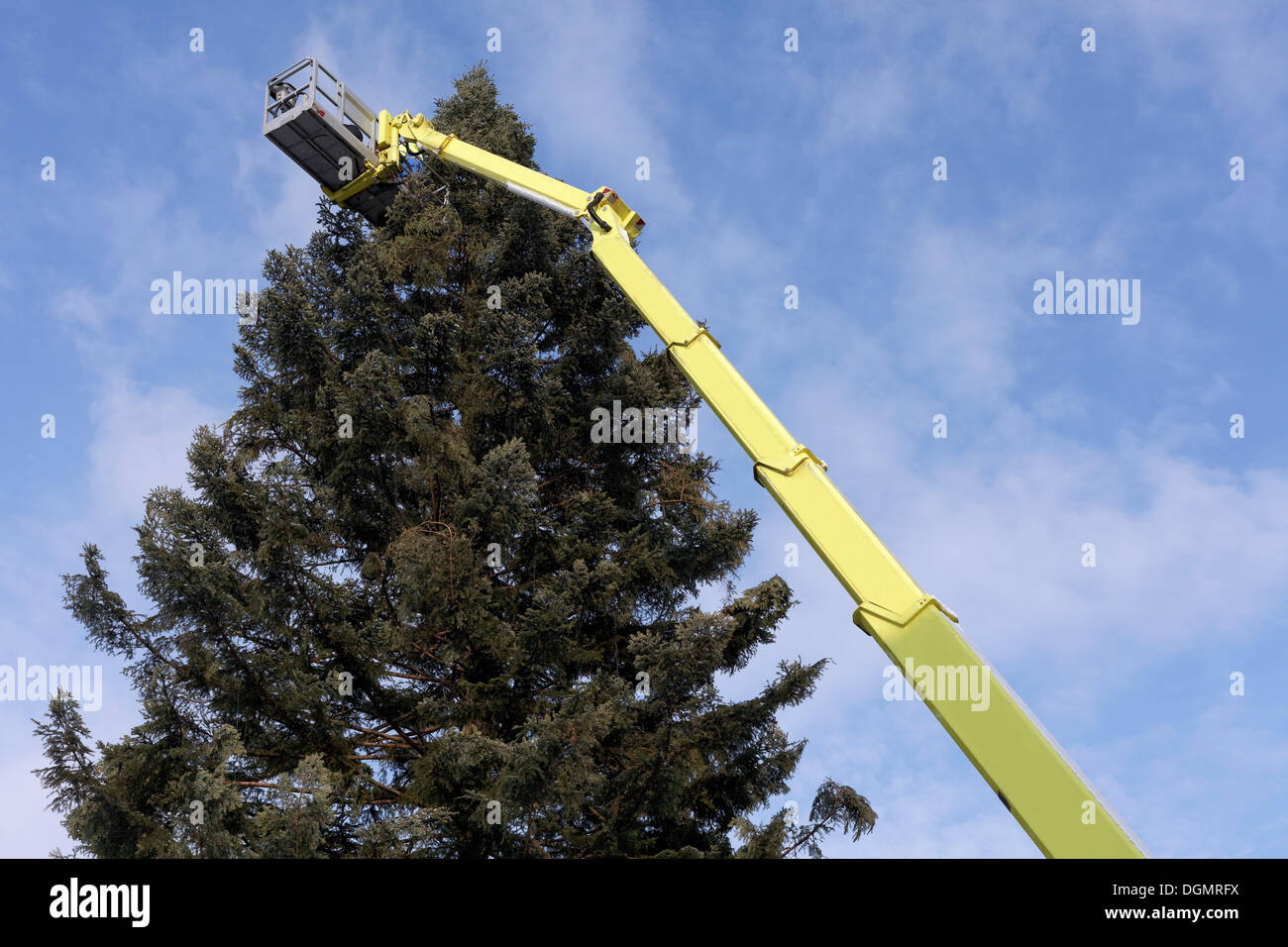Giant Christmas Tree, with lift platform at the top, Strasbourg ...