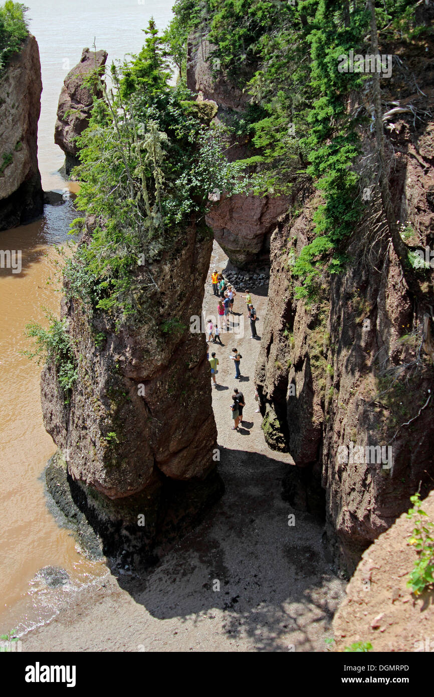 Hopewell Rocks, Chocolate River, Bay of Fundy, New Brunswick, Canada ...