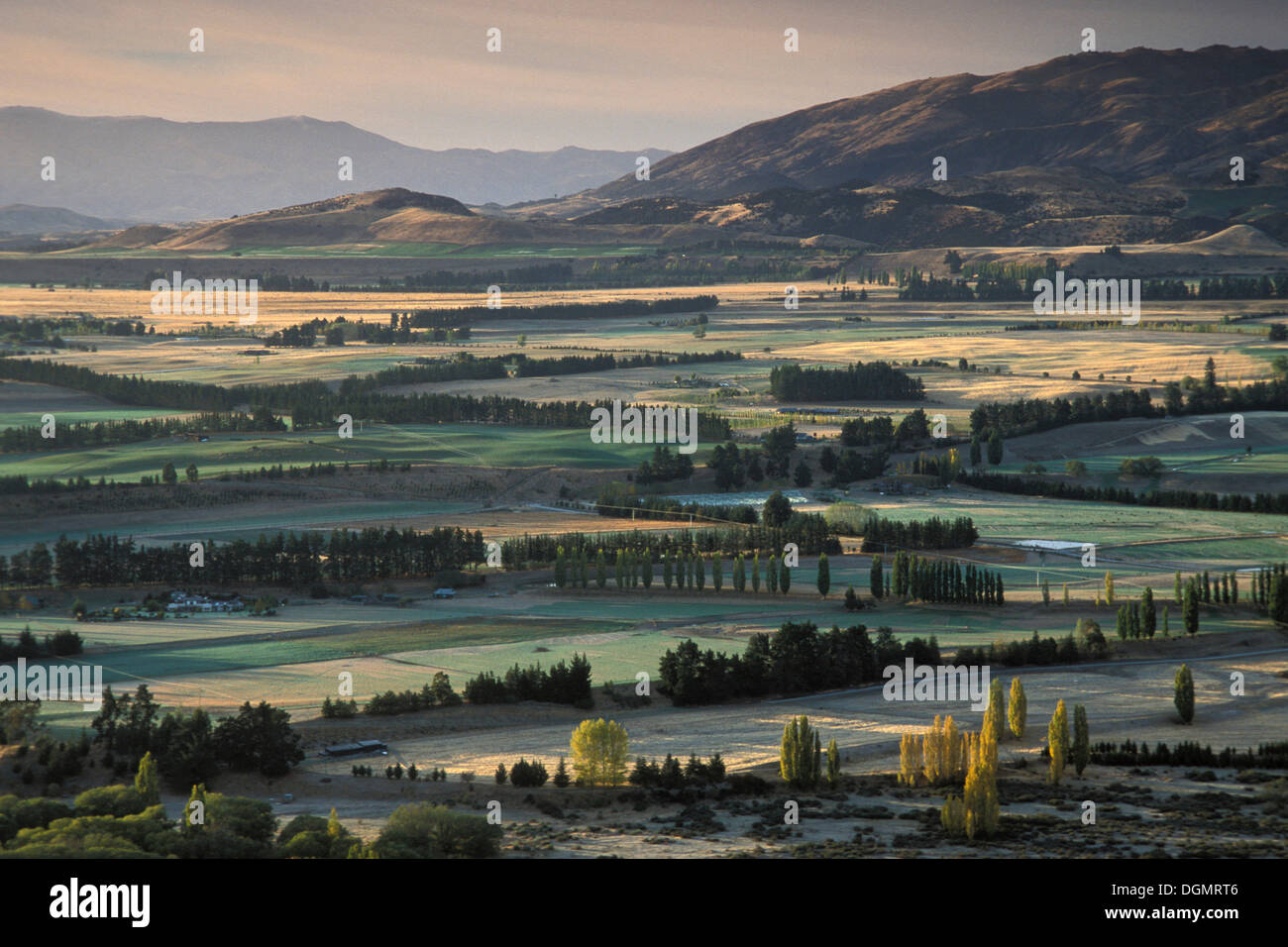 Cultivated landscape in Otago, view from Mount Iron, Wanaka, into the ...