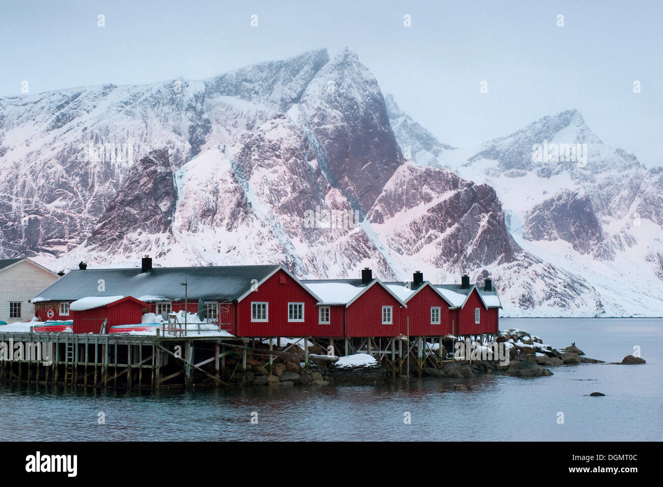 Traditional wooden houses, Rorbuer, in Reine, Moskenes, Moskenesøya ...