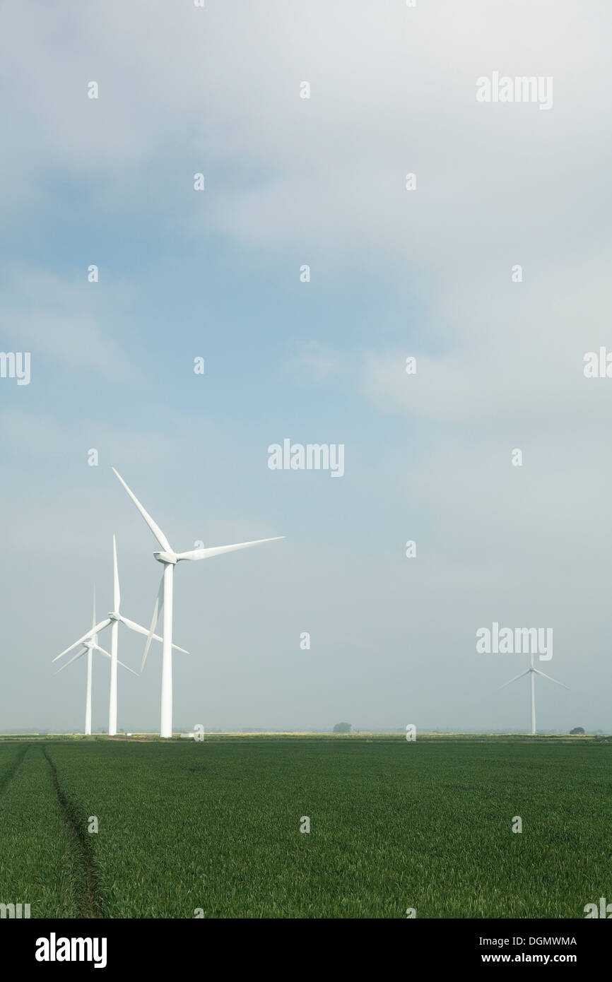landscape shots of windmill farm near chatteris set in the ...