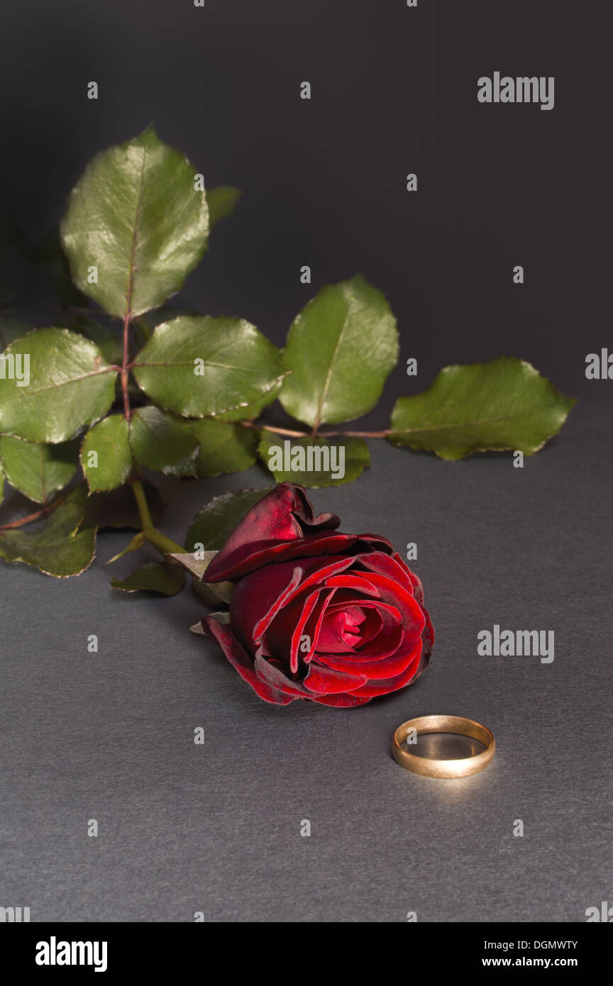 Beautiful love dreams hi-res stock photography and images - Alamy