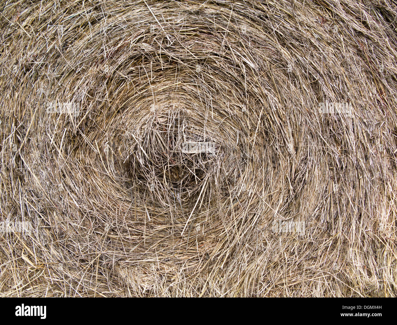 Close up detail shot of the end of a circular hay bale Stock Photo - Alamy