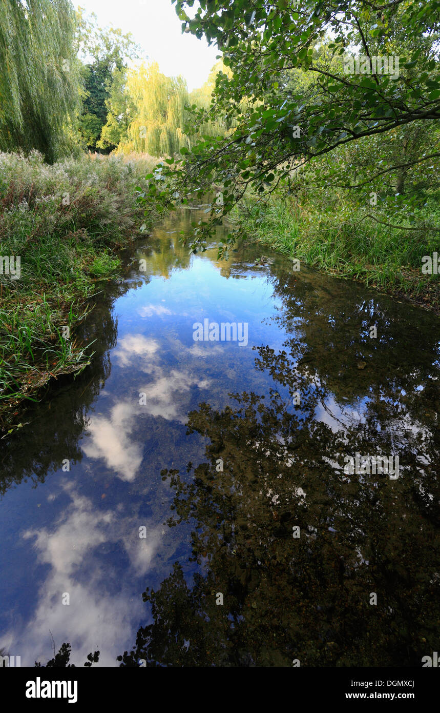 The River Nar near West Acre in Norfolk, England, UK Stock Photo - Alamy