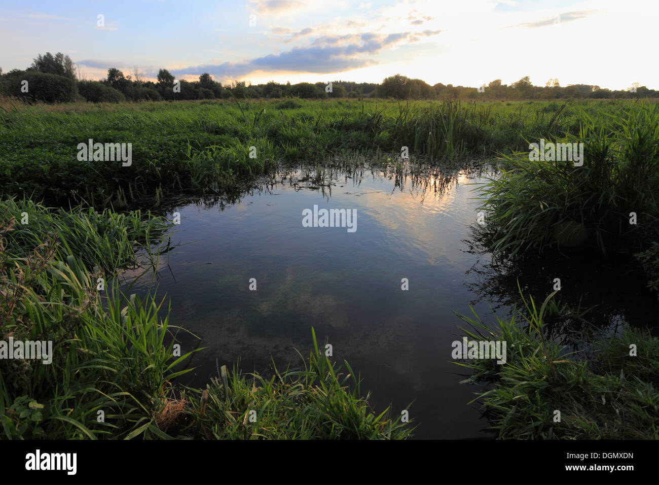 The River Nar near West Acre in Norfolk, England, UK Stock Photo - Alamy