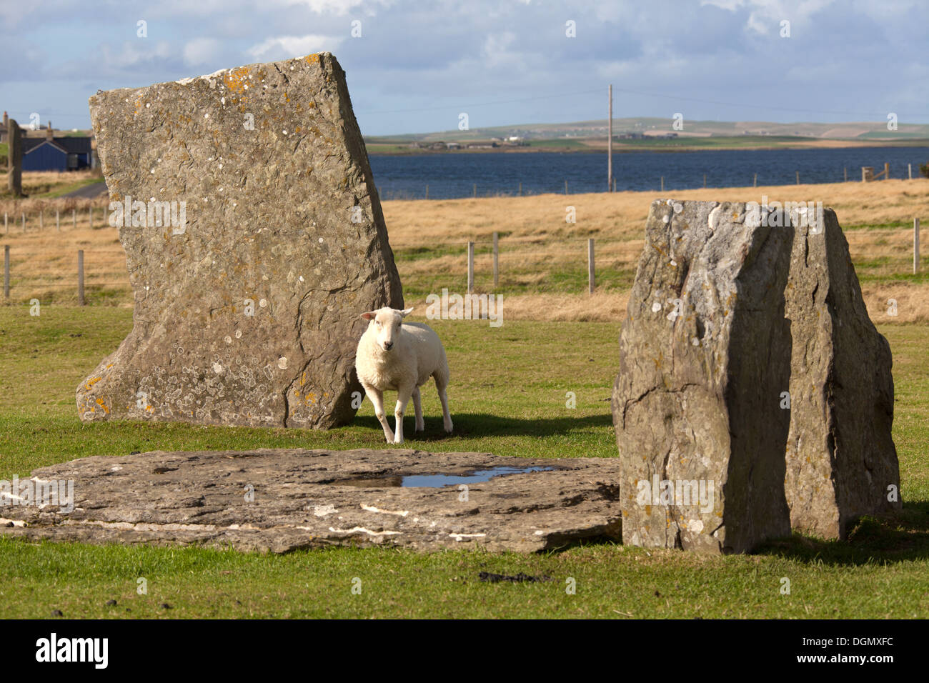 Islands of Orkney, Scotland. Picturesque view of the Standing Stones of ...