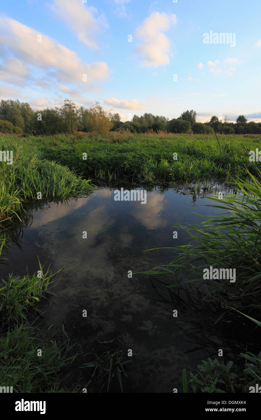 The River Nar near West Acre in Norfolk, England, UK Stock Photo - Alamy