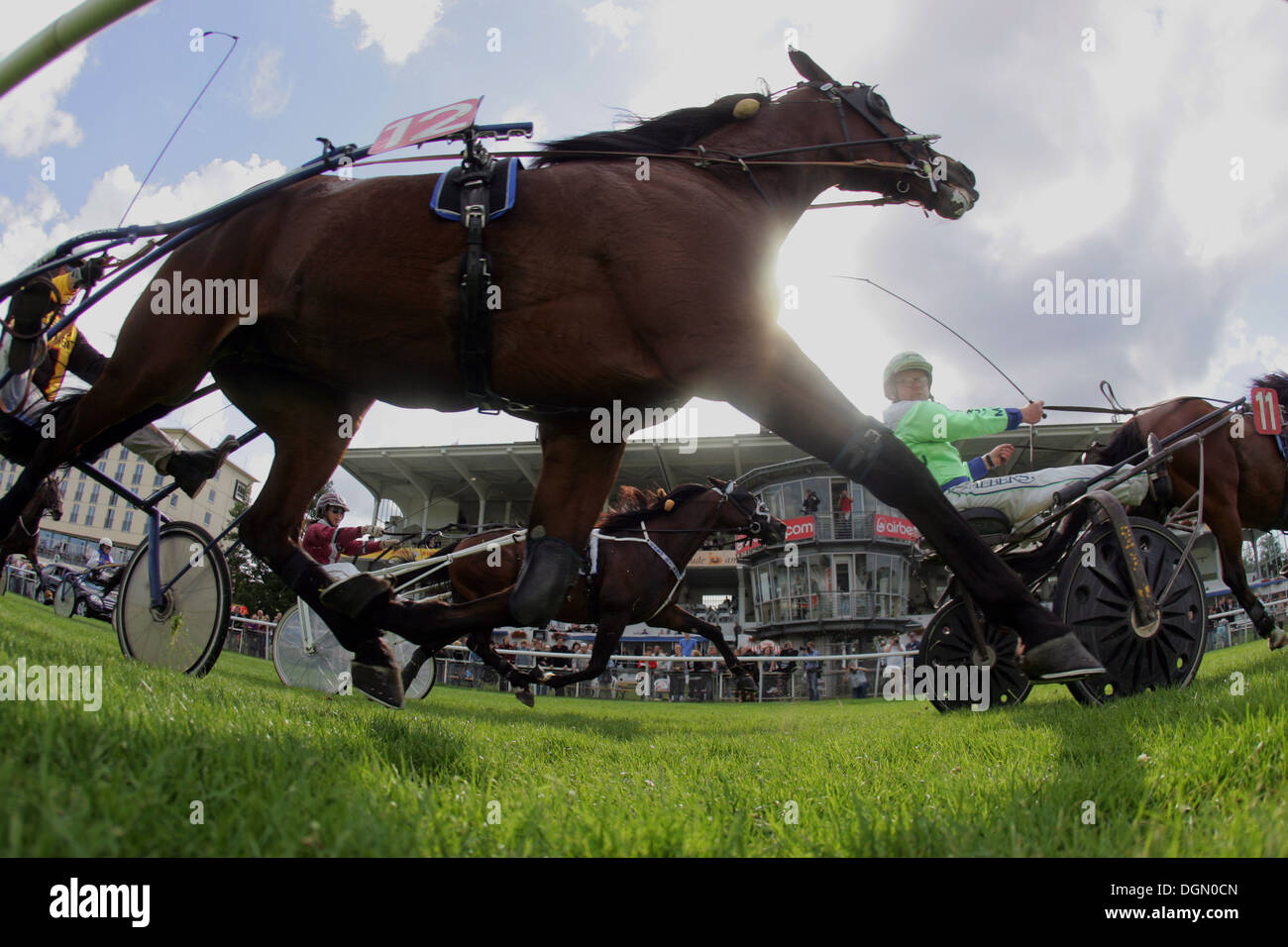 Trotting racing driver hi-res stock photography and images - Alamy