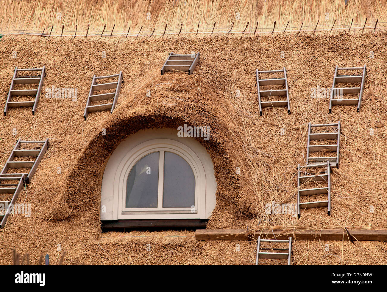 Detail of a thatched roof Stock Photo - Alamy