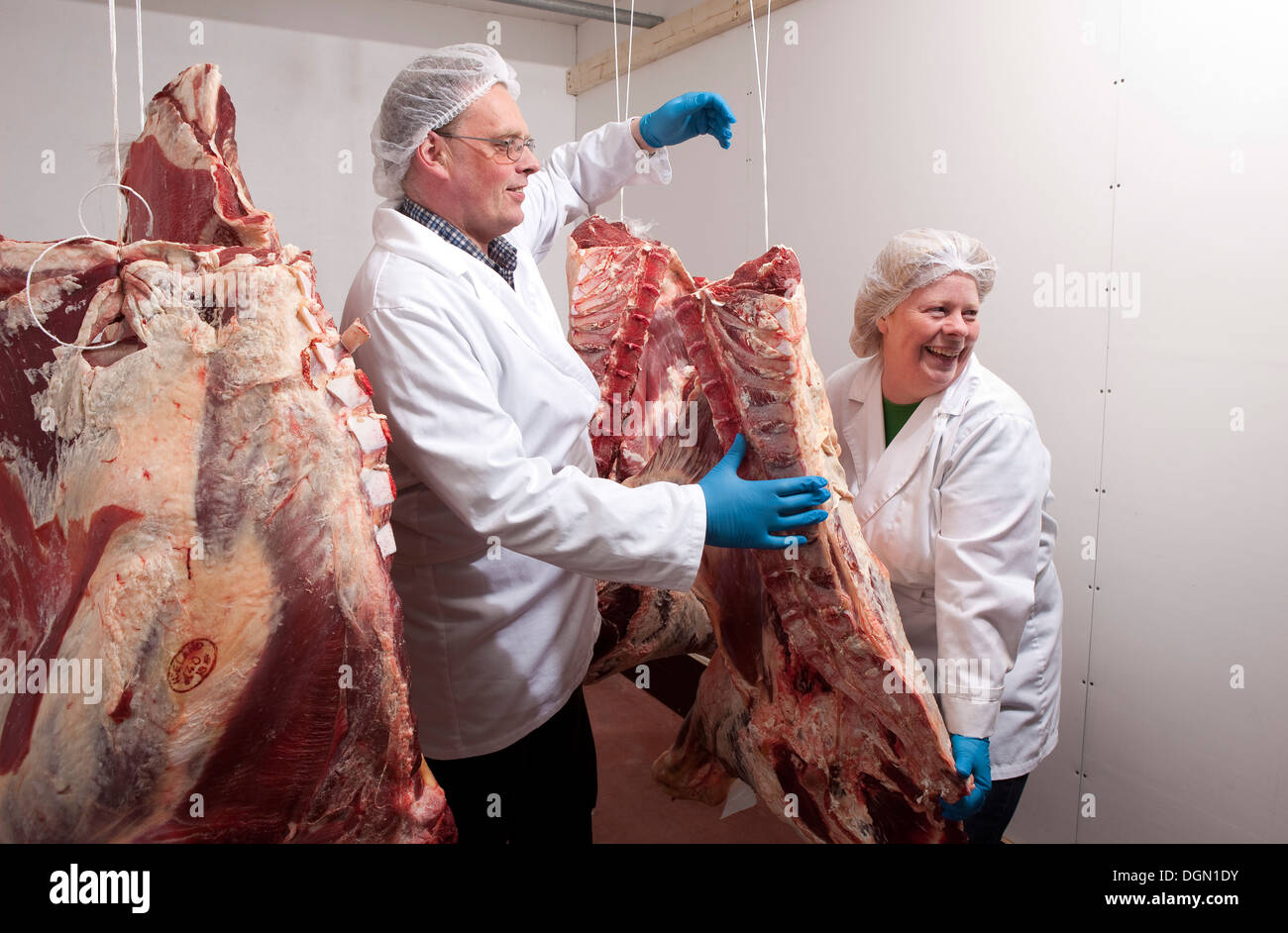 Beef processing hi-res stock photography and images - Alamy