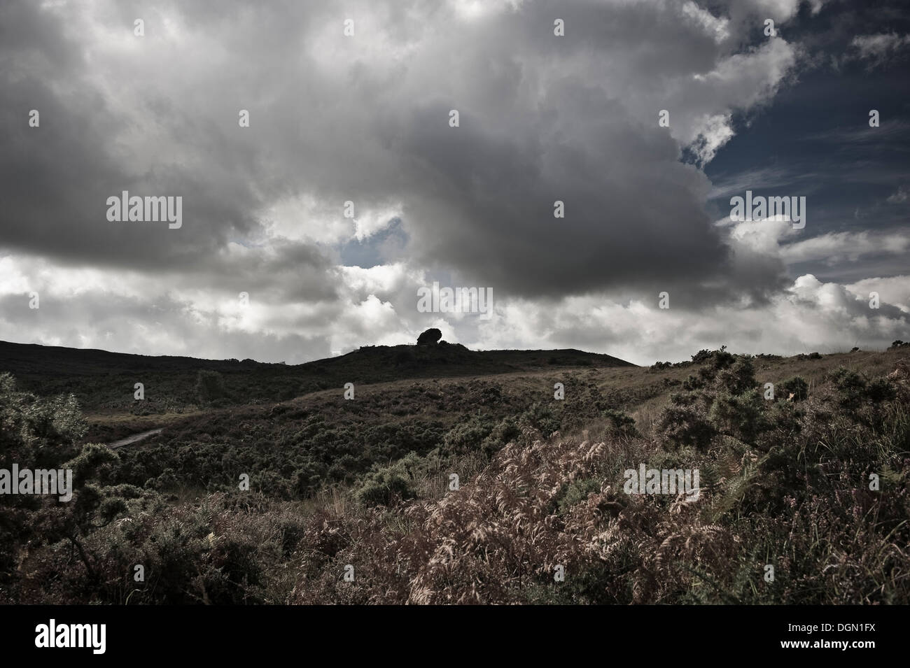 The Agglestone near Studland, Dorset, UK Stock Photo - Alamy