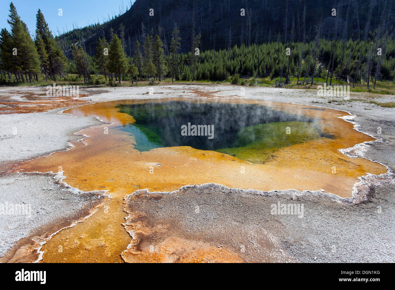 USA, Wyoming, Yellowstone National Park, Chromatic Pool, Upper Geyser ...
