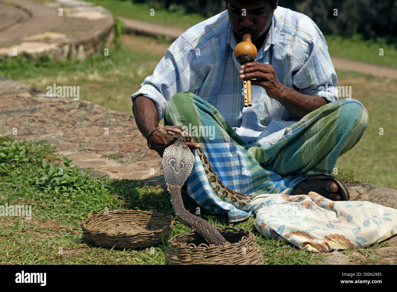 KING COBRA SNAKE CHARMER & PYTHON GALLE SRI LANKA 17 March 2013 Stock ...