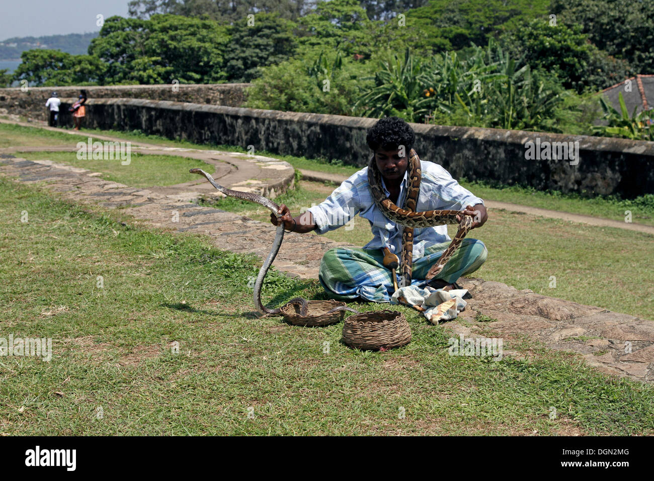 KING COBRA SNAKE CHARMER & PYTHON GALLE SRI LANKA 17 March 2013 Stock ...