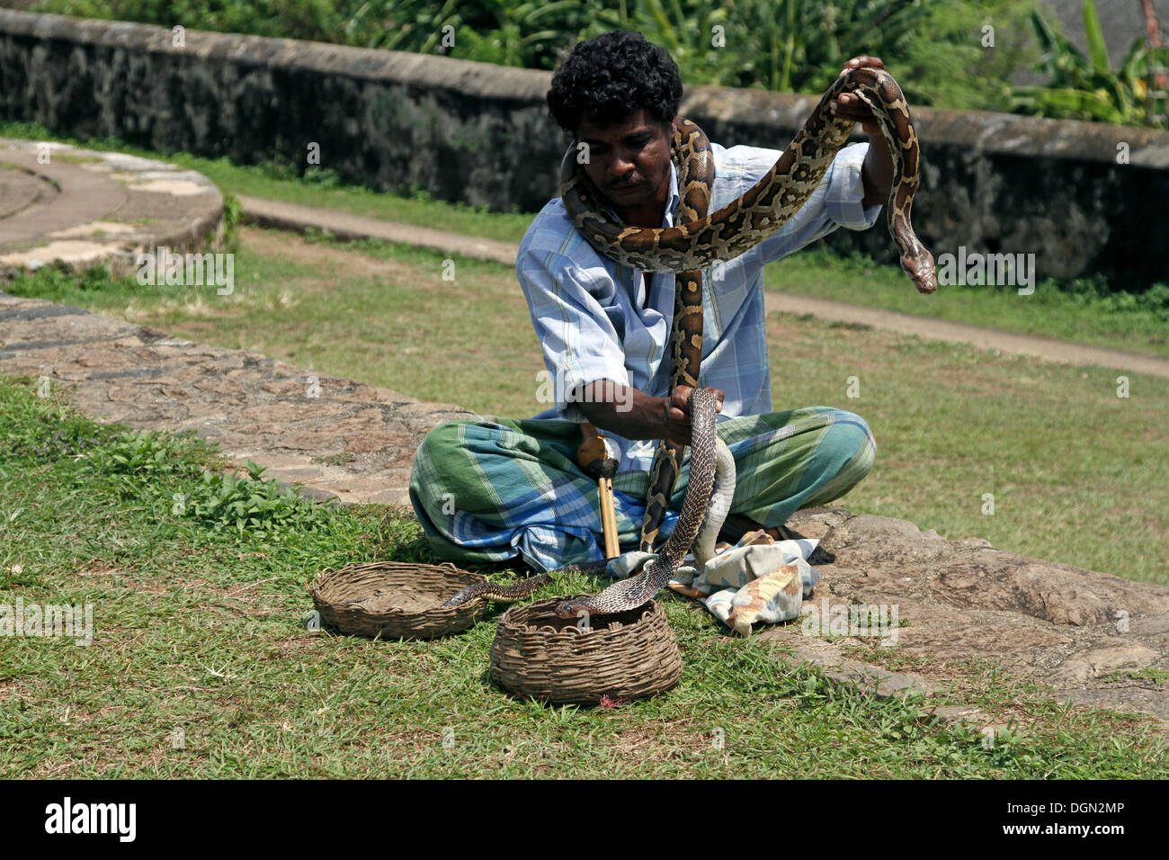 KING COBRA SNAKE CHARMER & PYTHON GALLE SRI LANKA 17 March 2013 Stock ...