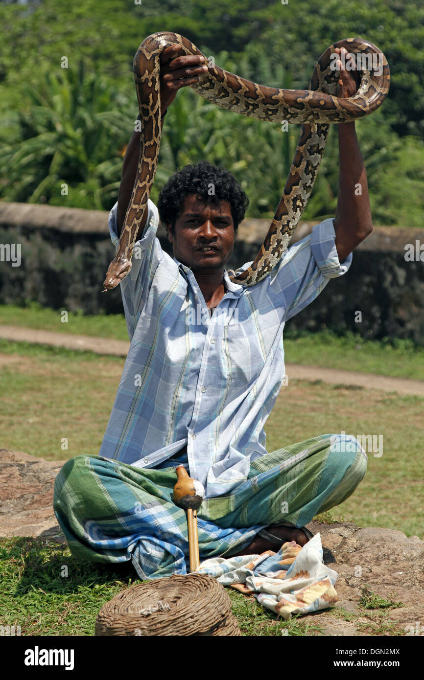 KING COBRA SNAKE CHARMER & PYTHON GALLE SRI LANKA 17 March 2013 Stock ...