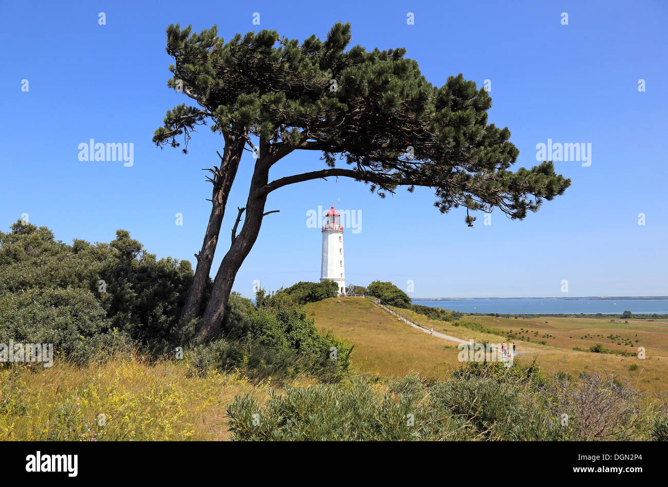 Hiddensee horizontal hi-res stock photography and images - Alamy
