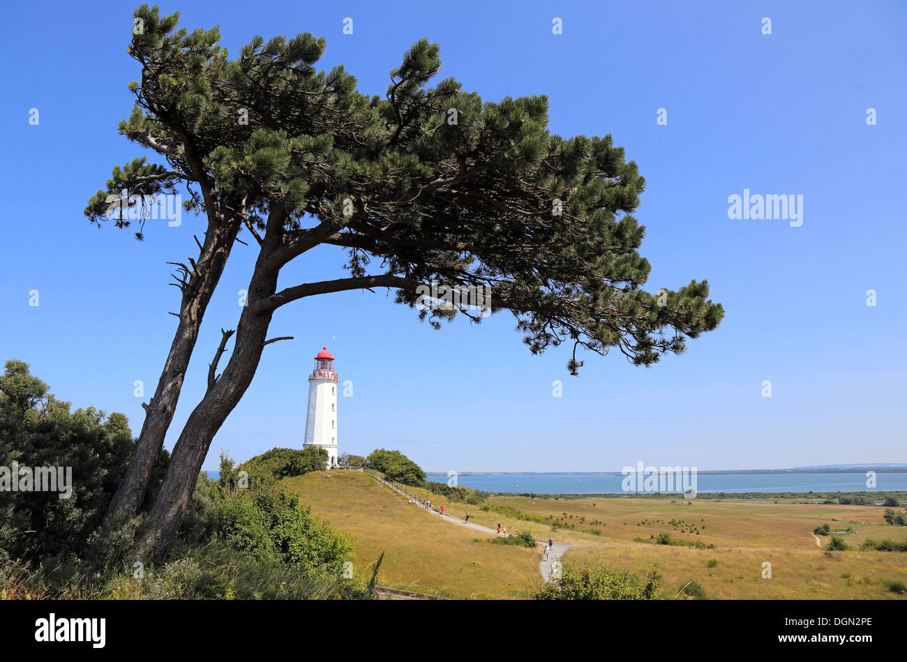Hiddensee horizontal hi-res stock photography and images - Alamy