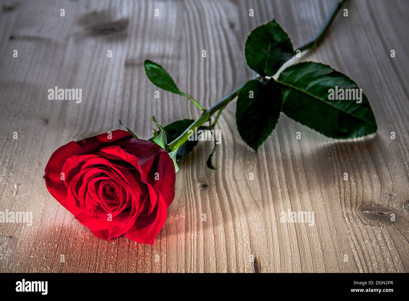 Rose wood texture hi-res stock photography and images - Alamy