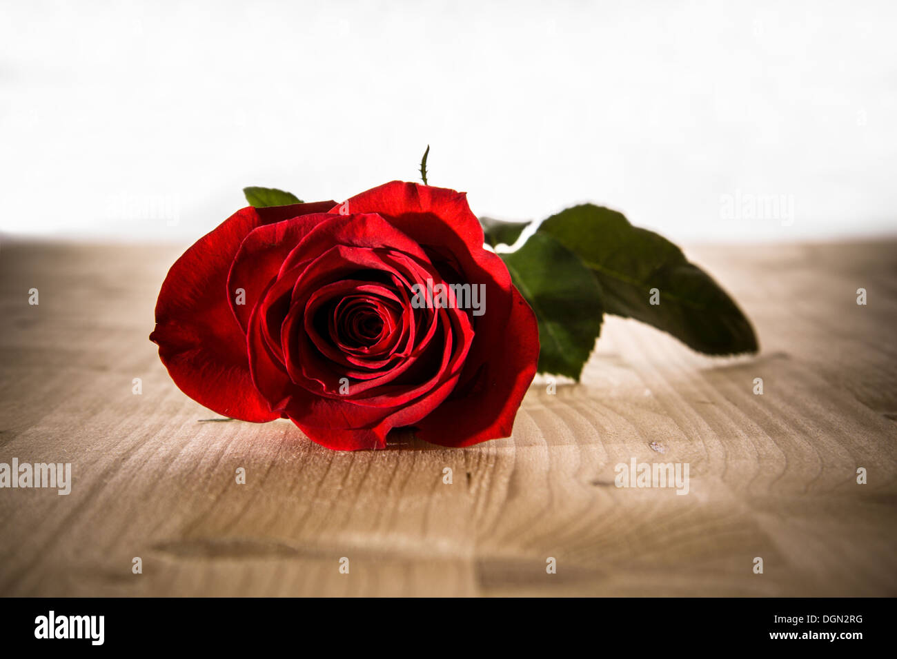 Rose wood texture hi-res stock photography and images - Alamy