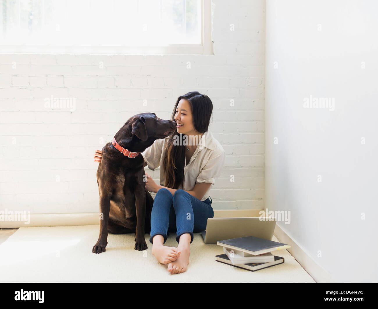 Black labrador with laptop hi-res stock photography and images - Alamy