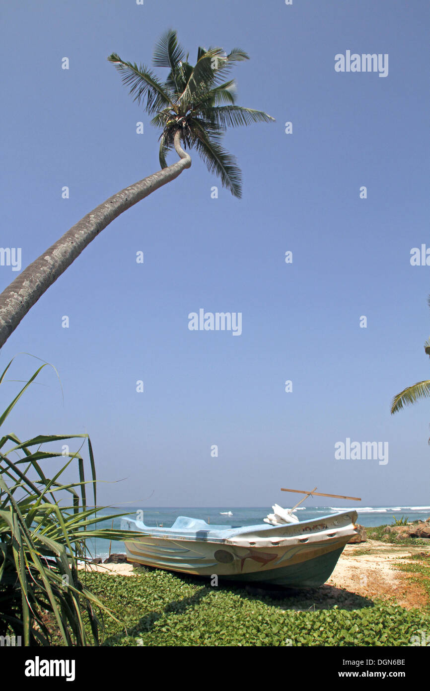 Palm tree and boat hi-res stock photography and images - Alamy