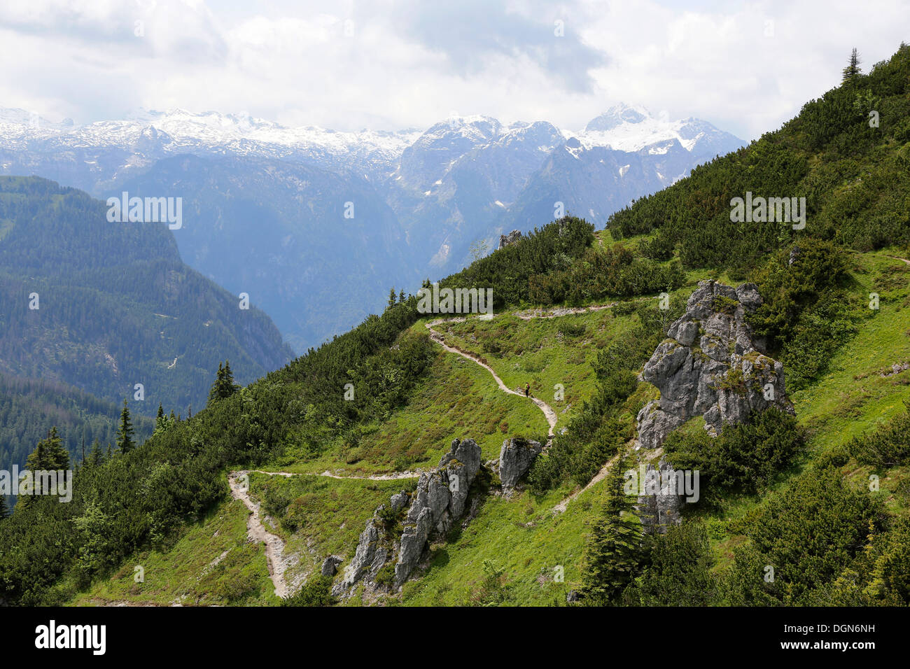 Jenner by the sea hi-res stock photography and images - Alamy
