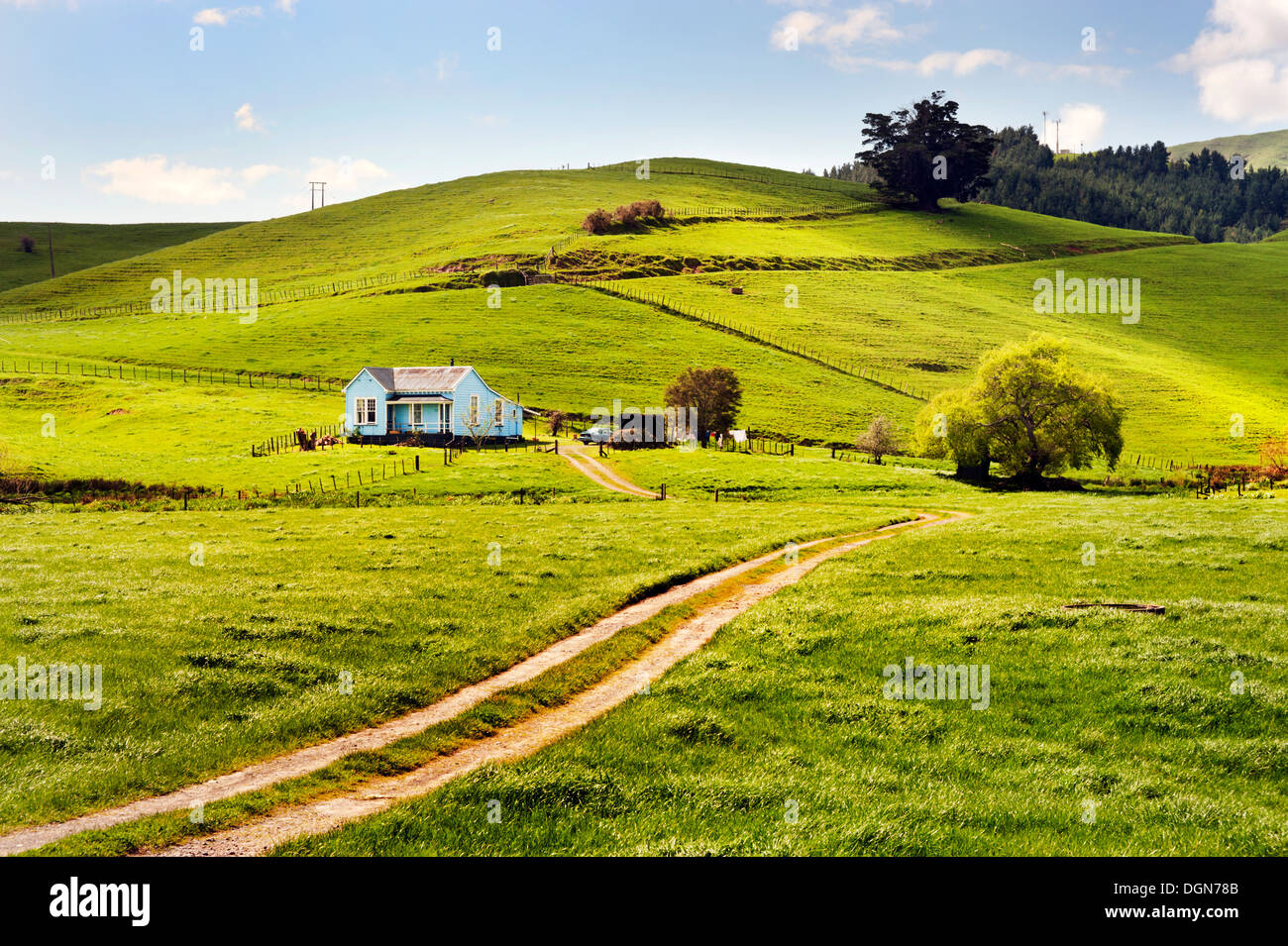 Little wooden house in the countryside, near Paeroa, Coromandel ...