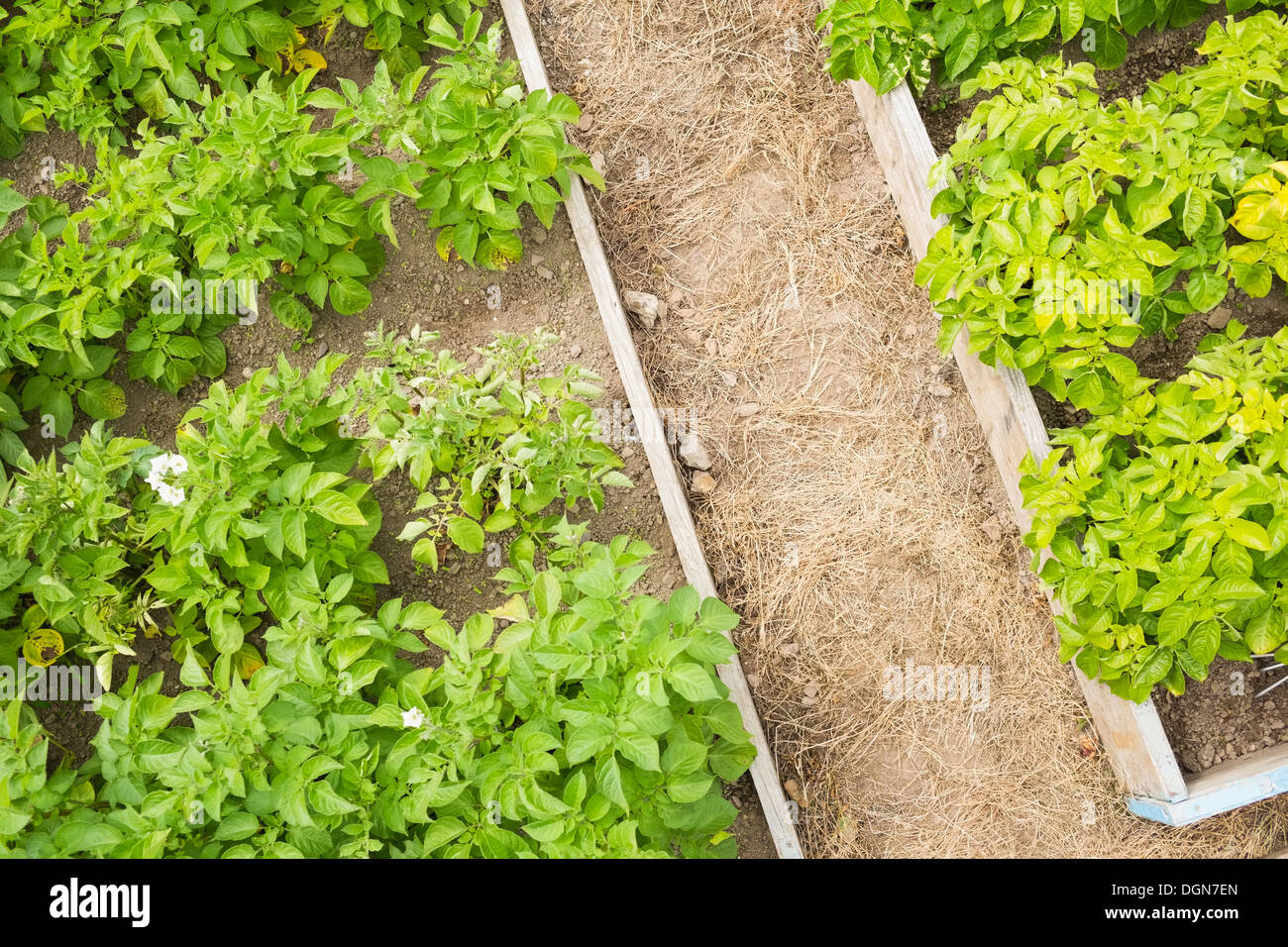 Well kept garden hi-res stock photography and images - Alamy
