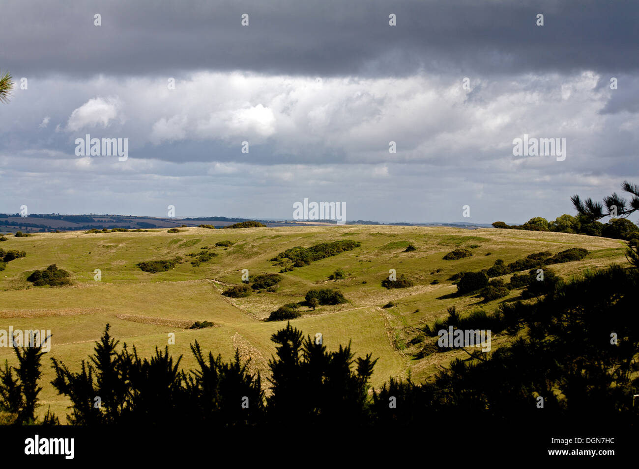 The ridge of Pentridge Hill looking north from Penbury Knott The Dorset ...