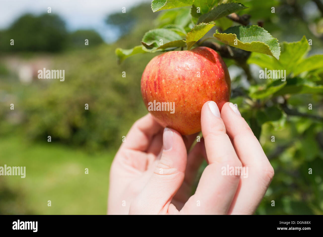 Hand touching nature hi-res stock photography and images - Alamy